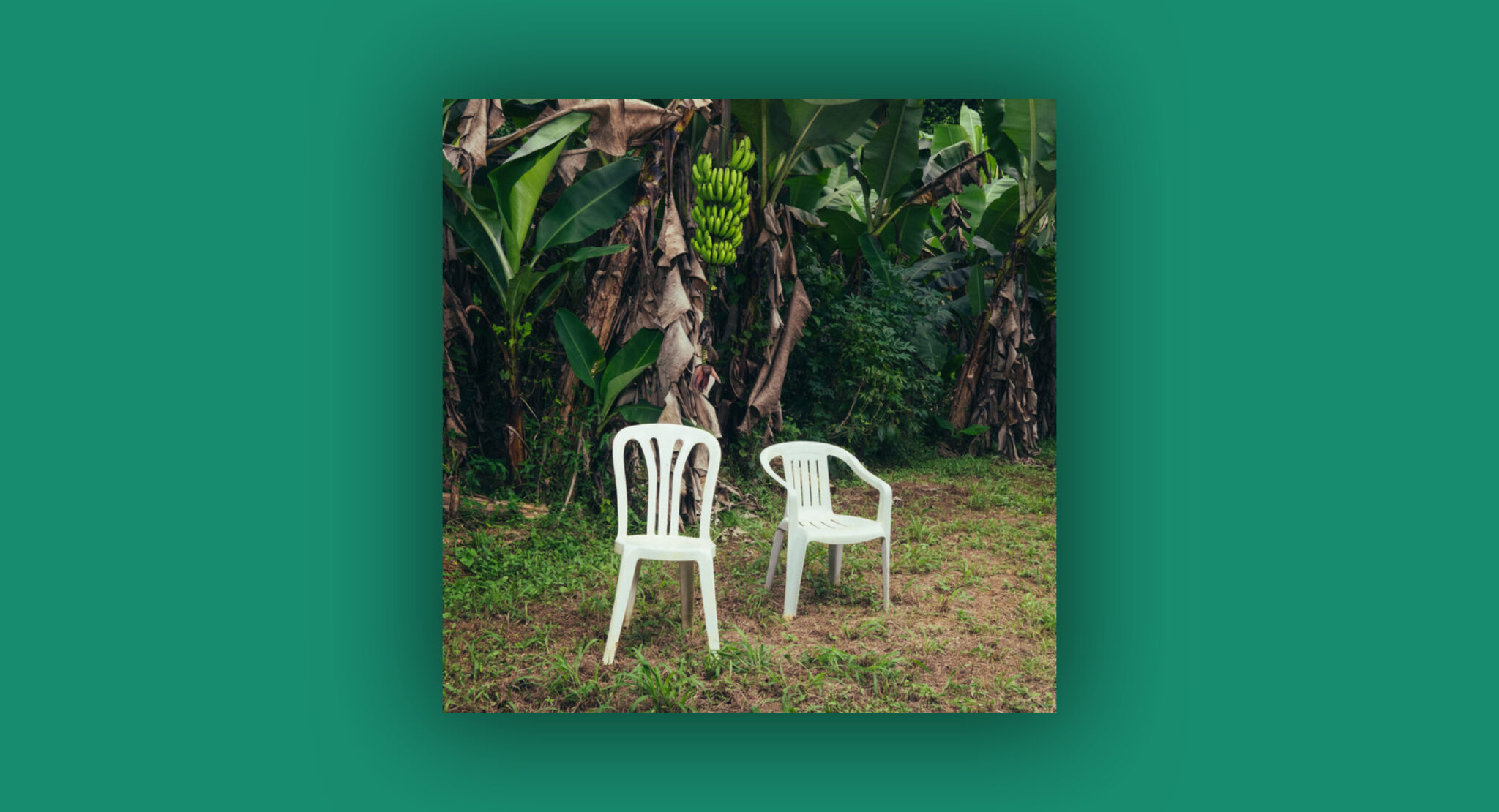 Notable Latin Music Releases of 2025 - Kramer the Curator